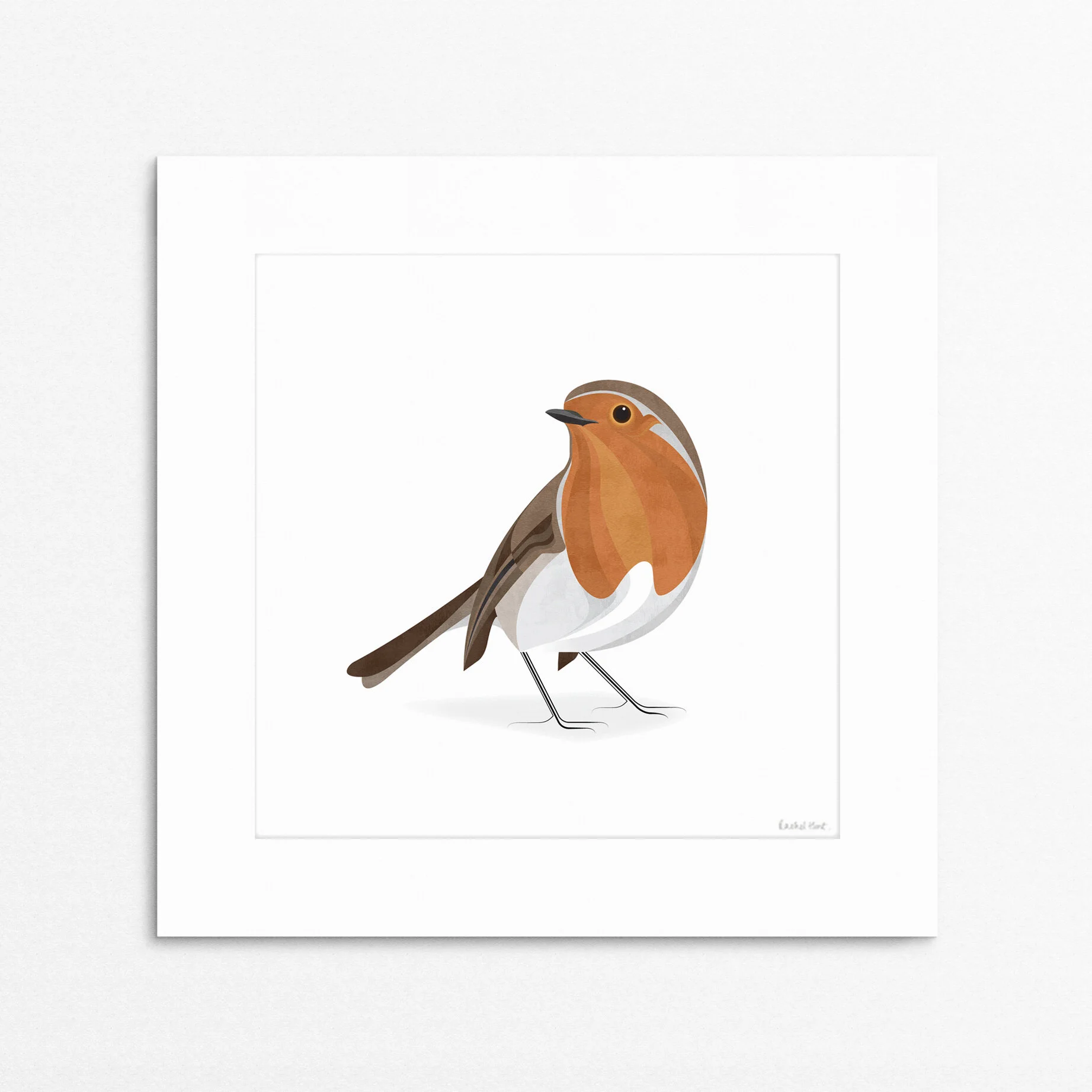 'Robin' Limited Edition Print — Rachel Hunt Illustration | Rowing Art ...