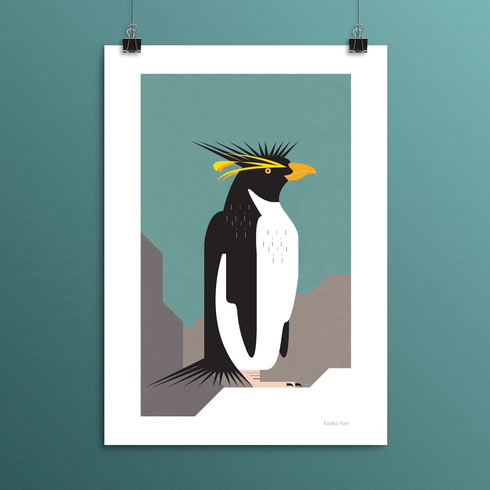 Rockhopper Penguin Limited edition print — Rachel Hunt Illustration ...
