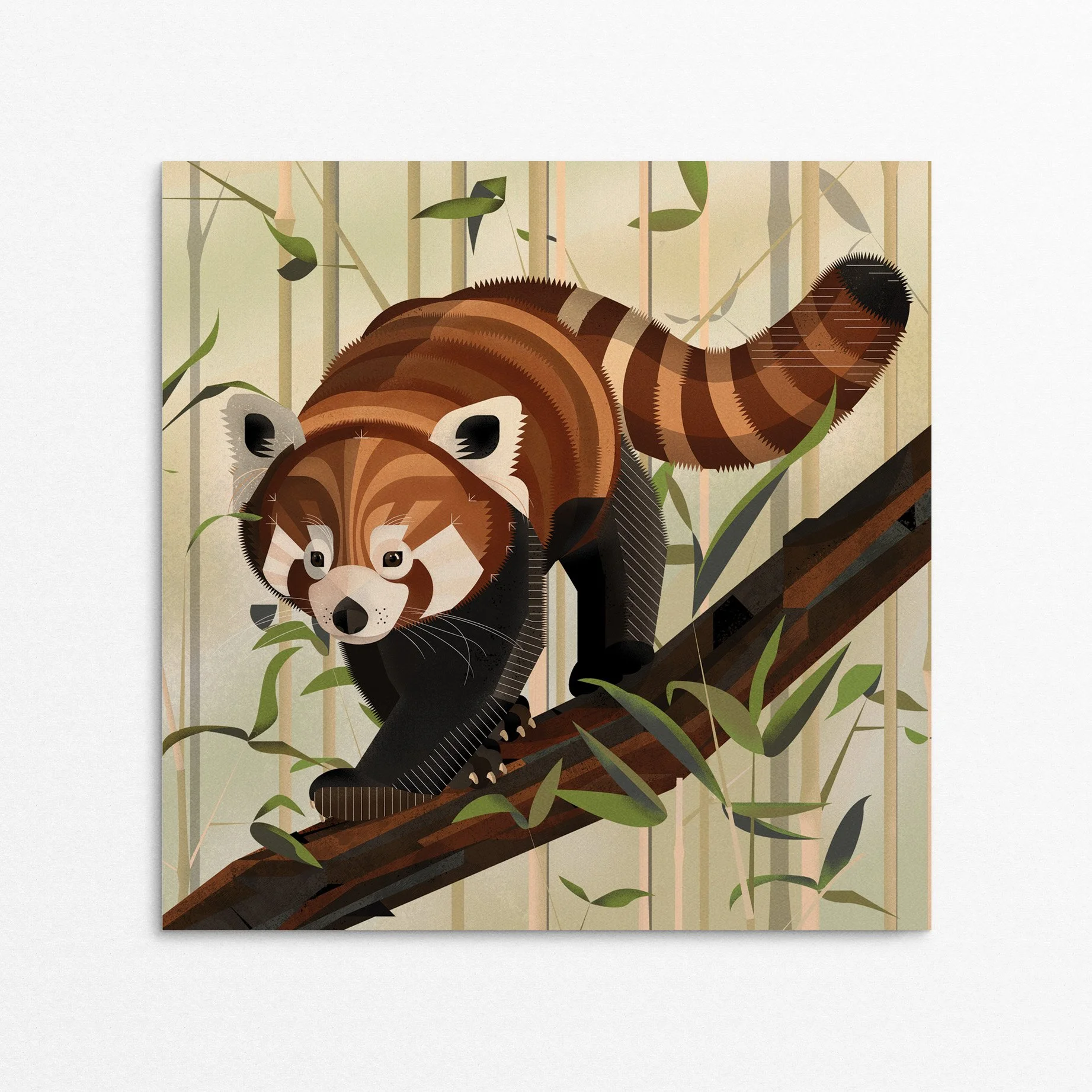'Red Panda' Card - 4 pack — Rachel Hunt Illustration | Rowing Art ...