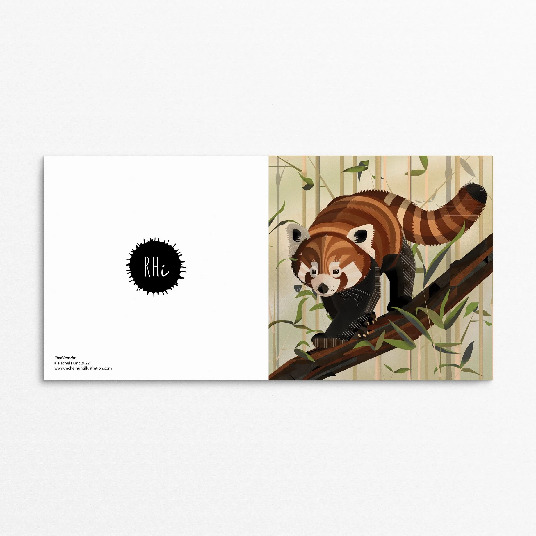 'Red Panda' Card - 4 pack — Rachel Hunt Illustration | Rowing Art ...