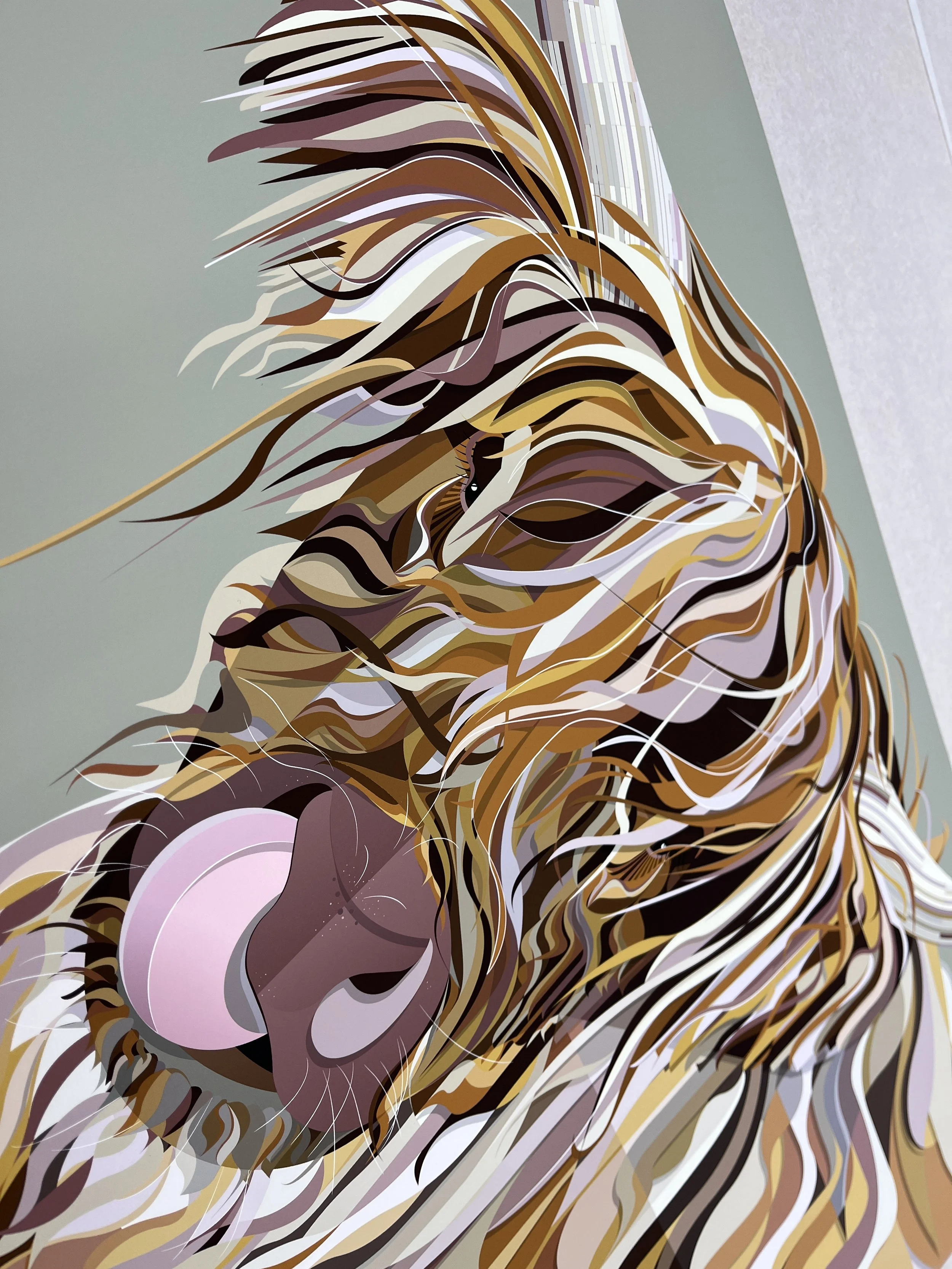 'Cheeky Cow' Highland Cow Limited edition print — Rachel Hunt ...