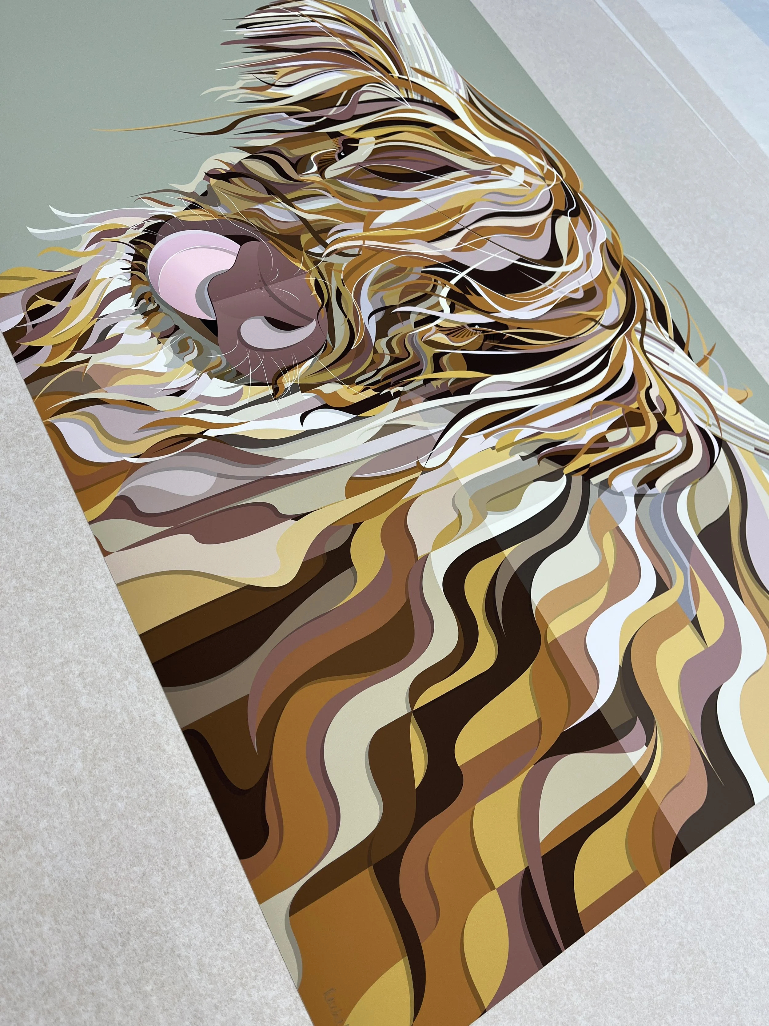 'Cheeky Cow' Highland Cow Limited edition print — Rachel Hunt ...