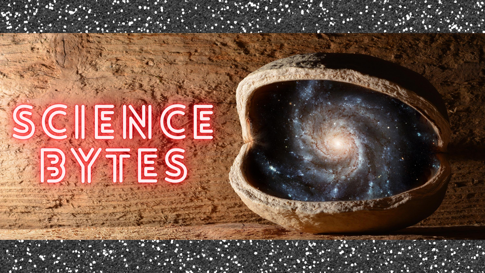 Science Bytes — S B Divya