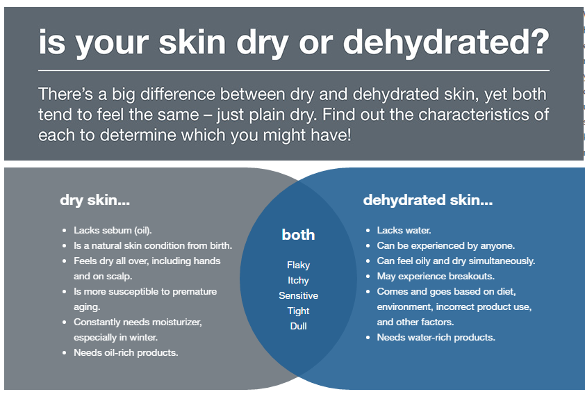 Dry vs. Dehydrated Skin | What's the Difference? — Posh Lifestyle ...