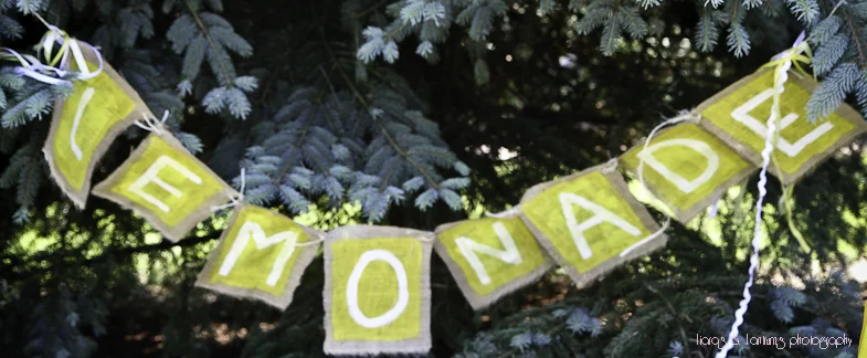 Lemonade Burlap Banner Tutorial | DIY — Tiaras & Tantrums