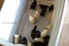 How To Raise Chickens — Tiaras & Tantrums