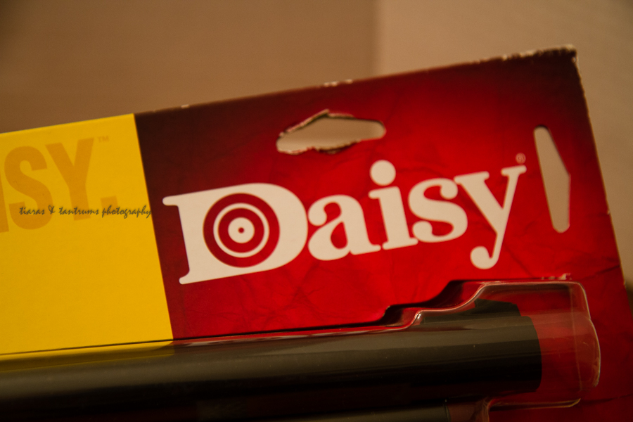 Daisy BB Guns are the Best Gifts for Girls — Tiaras & Tantrums