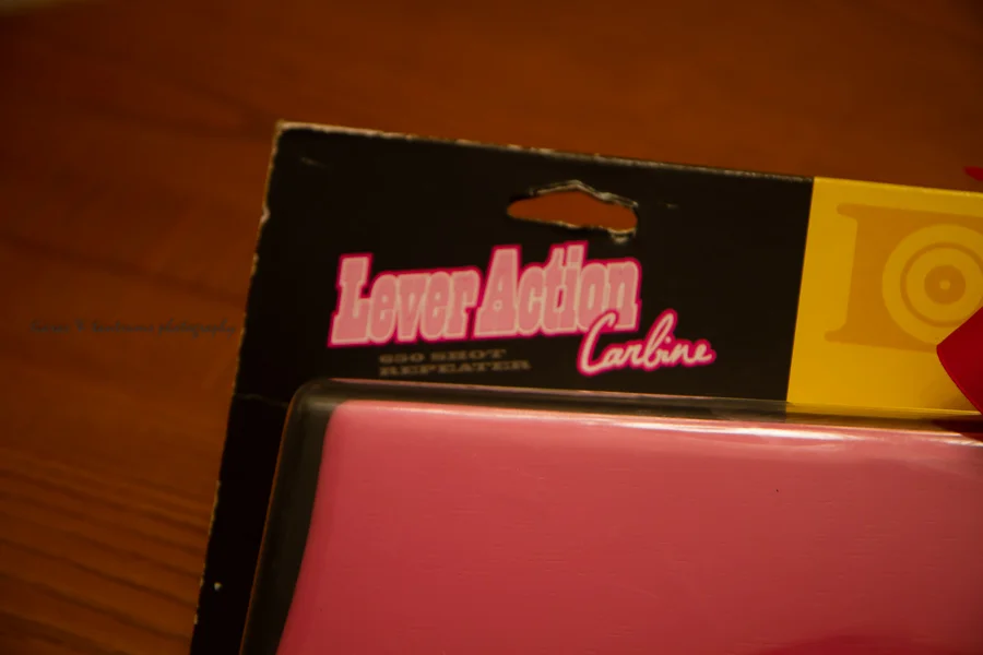 Daisy BB Guns are the Best Gifts for Girls — Tiaras & Tantrums