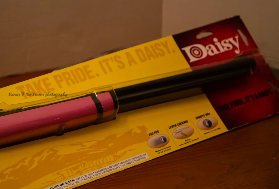 Daisy BB Guns are the Best Gifts for Girls — Tiaras & Tantrums