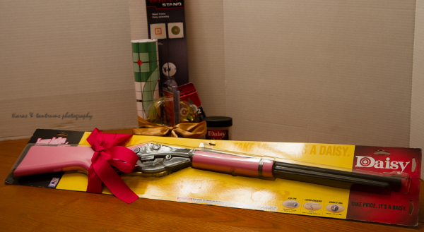 Daisy BB Guns are the Best Gifts for Girls — Tiaras & Tantrums