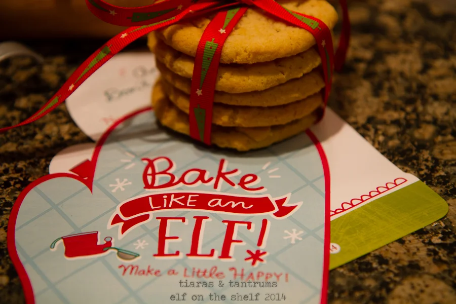 10 Elf on The Shelf Ideas — Tiaras & Tantrums