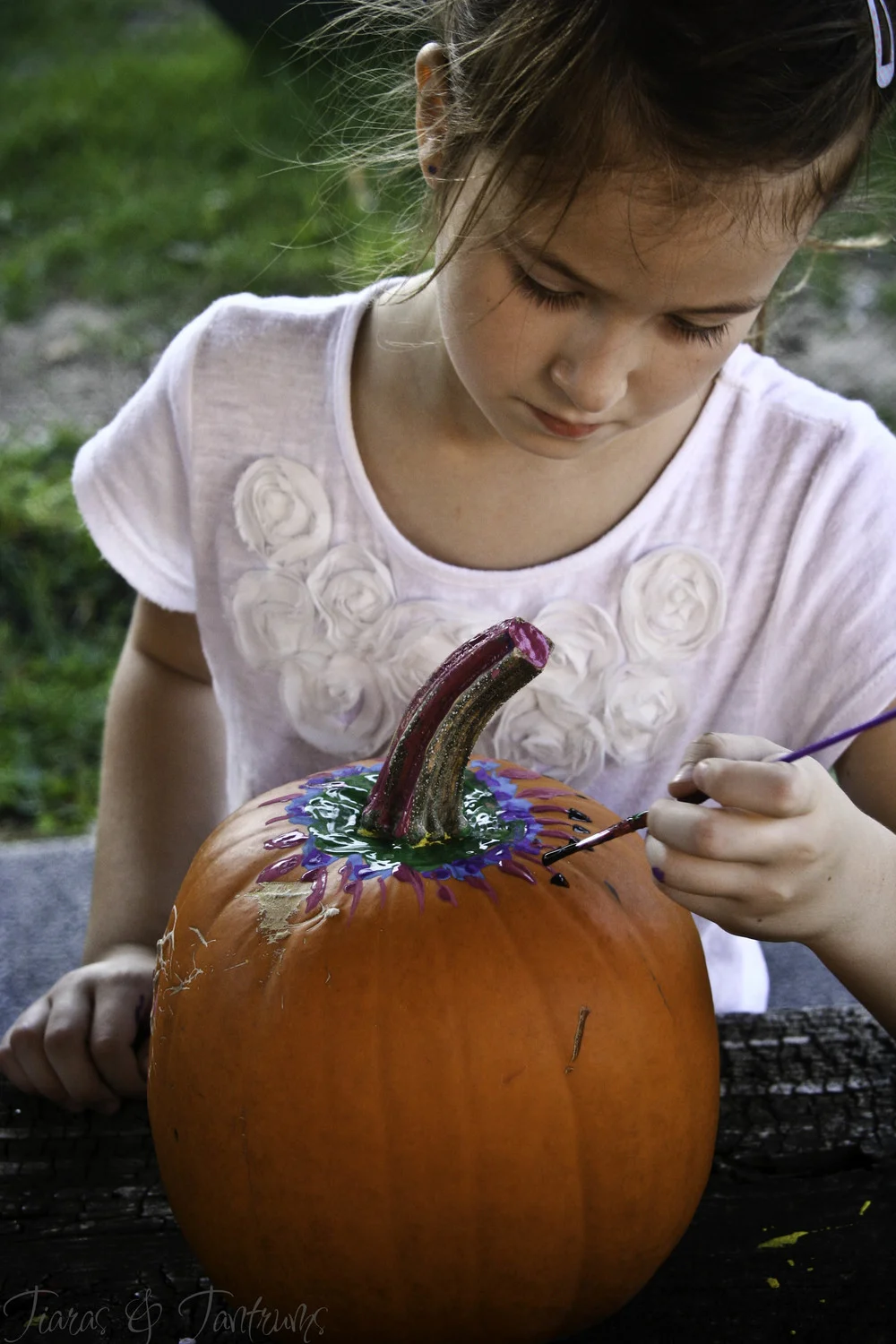 Best Pumpkin Patches in the Chicagoland Area — Tiaras & Tantrums