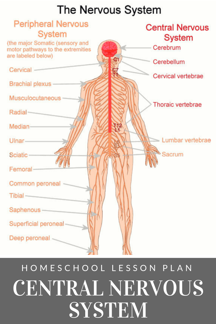 Tiaras & Tantrums — Homeschool Curriculum Store