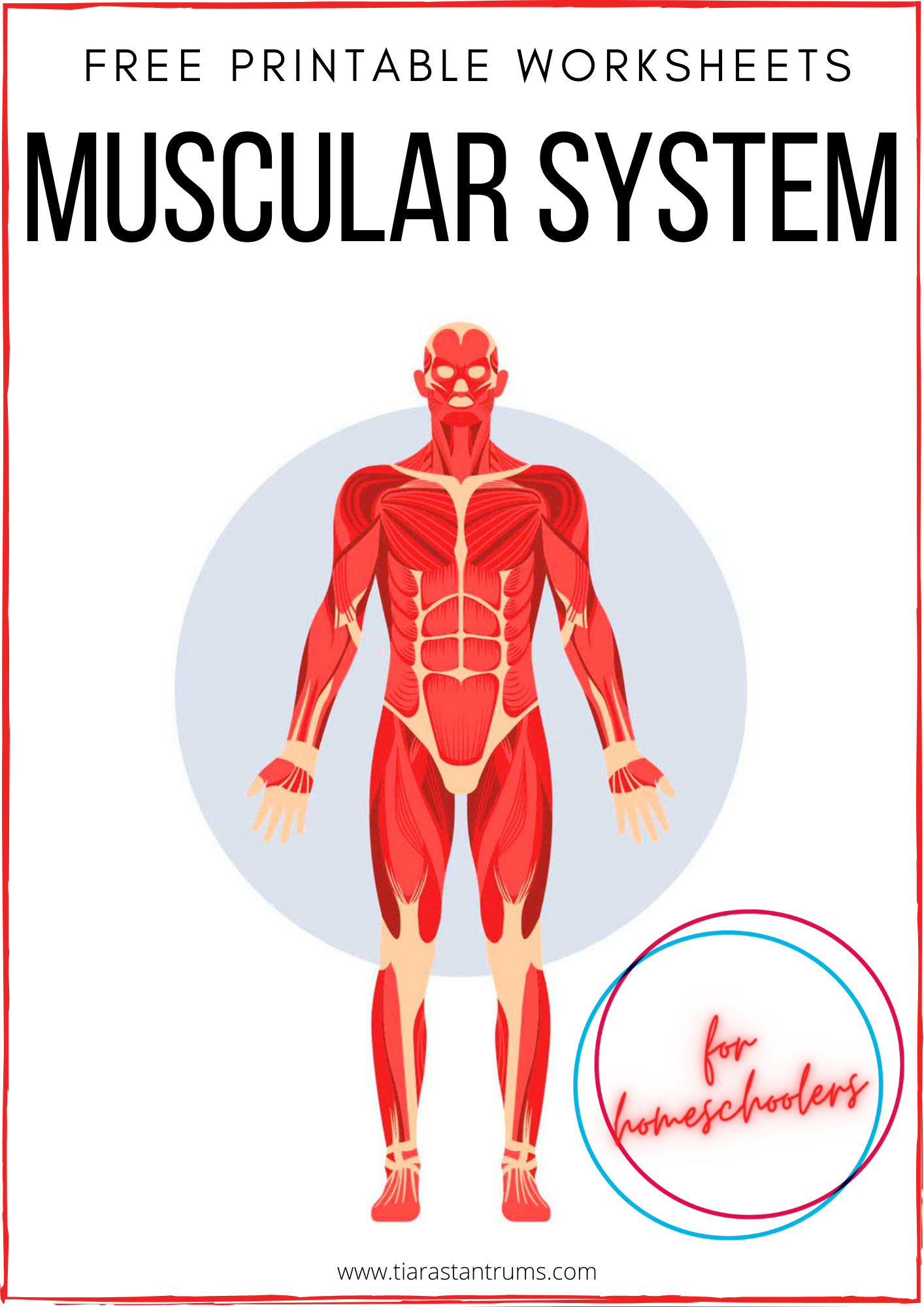 FREE Human Body Systems Labeling Worksheets Tiaras Tantrums