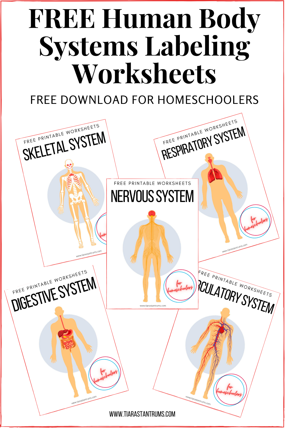 FREE Human Body Systems Labeling Worksheets Tiaras Tantrums Free 
