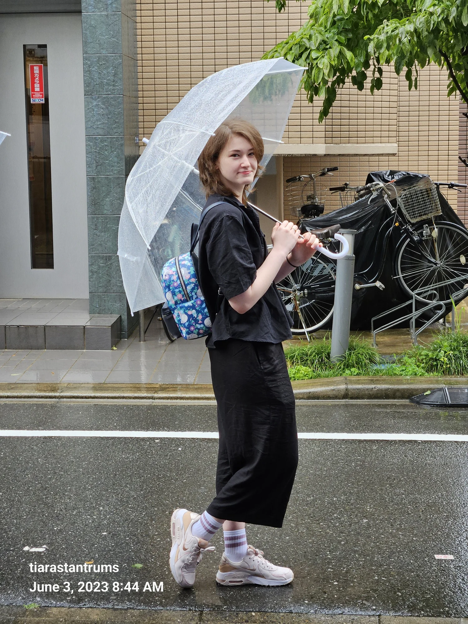 Tips for Your First Time Japan Trip — Tiaras & Tantrums