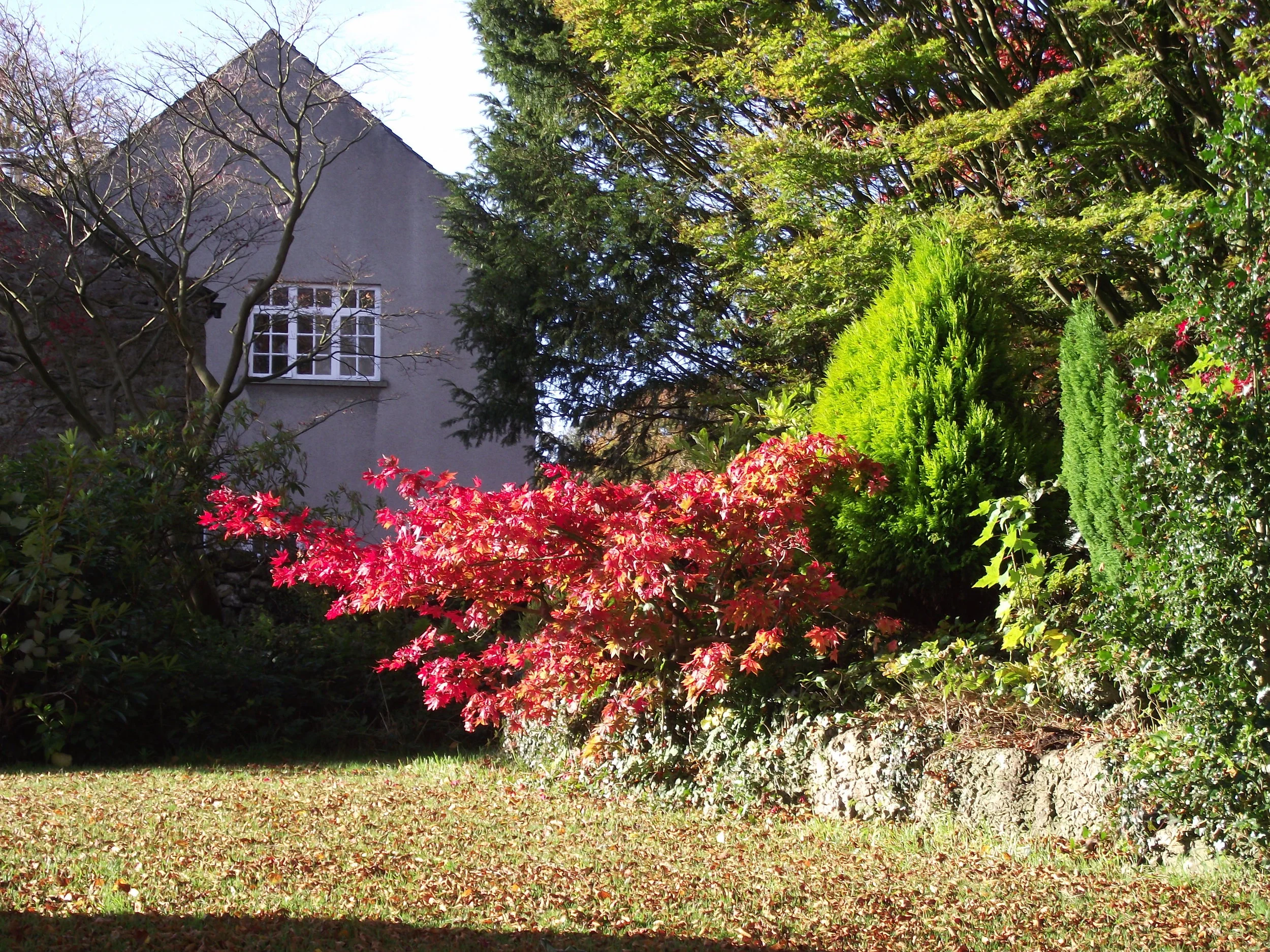 Gallery — Bernardine Cistercians