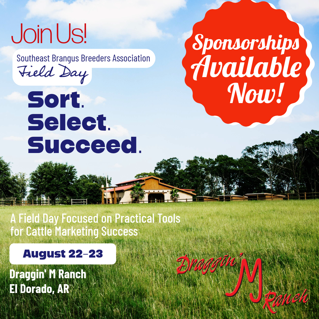 SBBA 2025 Field Day - Draggin' M Ranch — Draggin' M Ranch