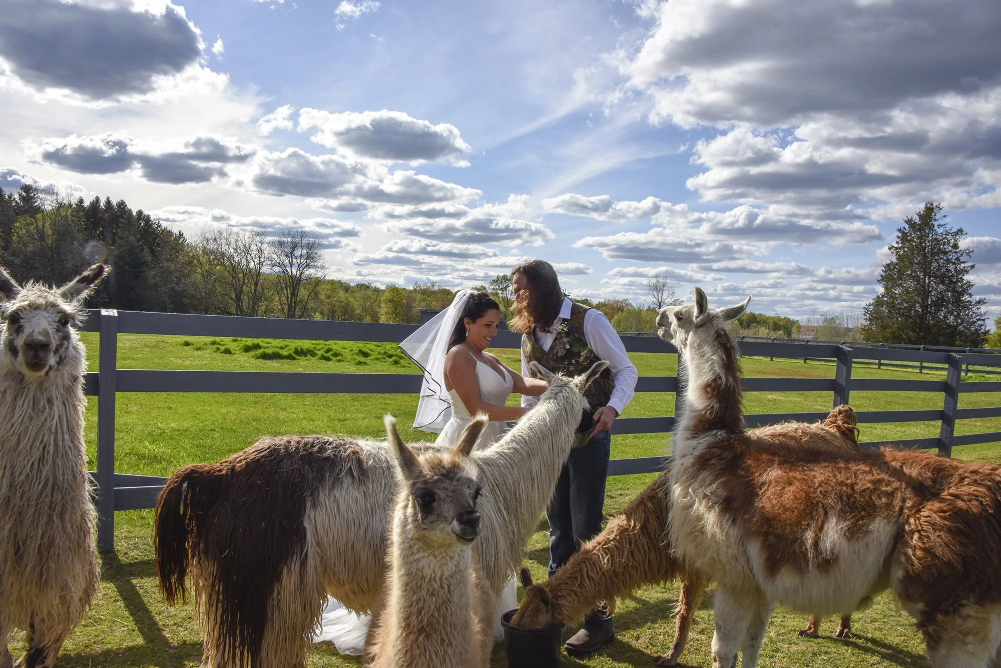 EVENT SPACES — Eyry of the Eagle