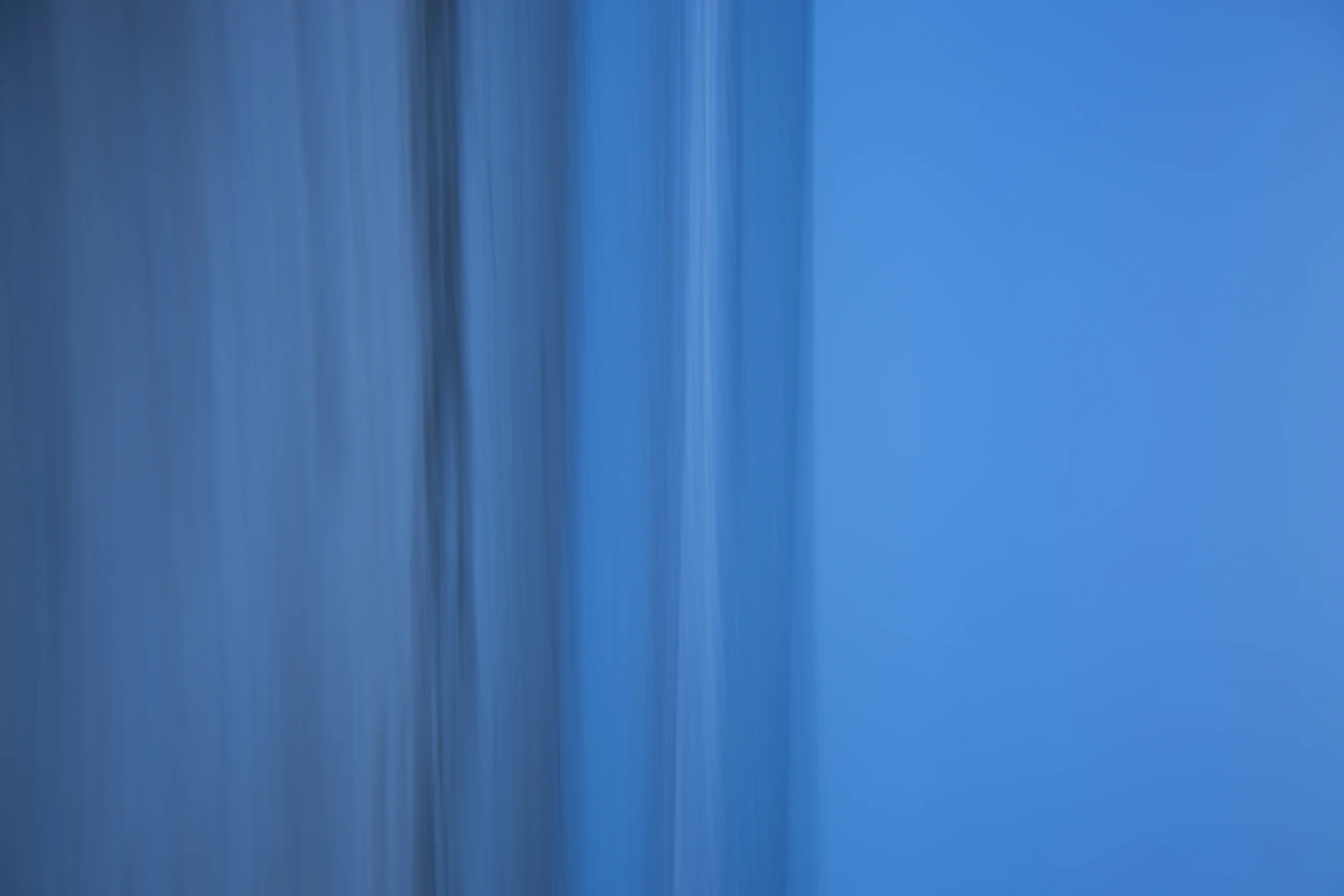 The Beach — Elizabeth Nowicki