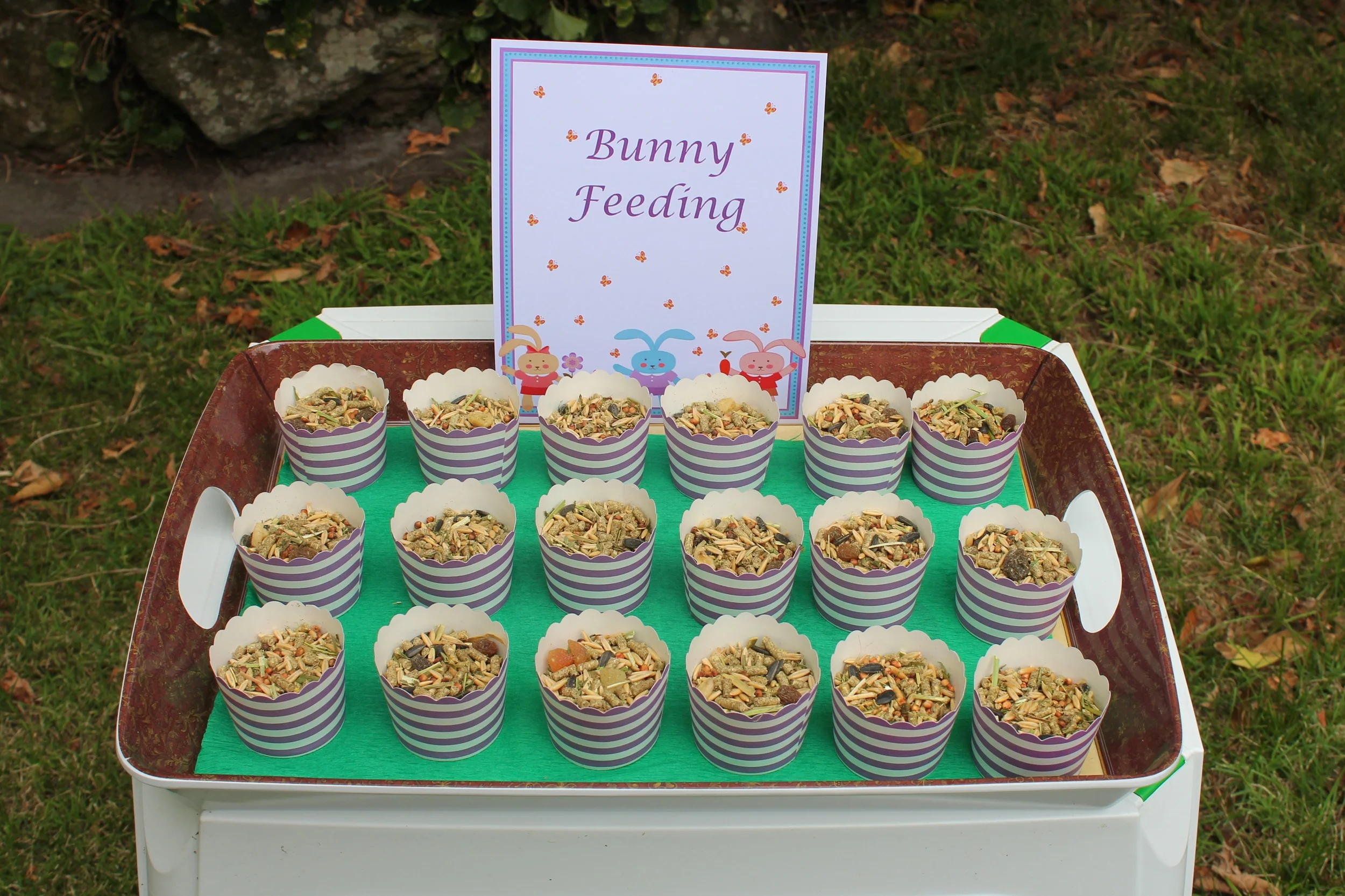 Bunny Birthday Party — Chic Party Ideas