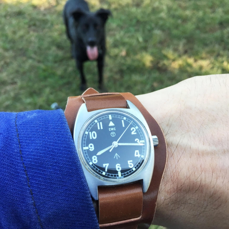 Customer Gallery 1 — Rover Haven Straps