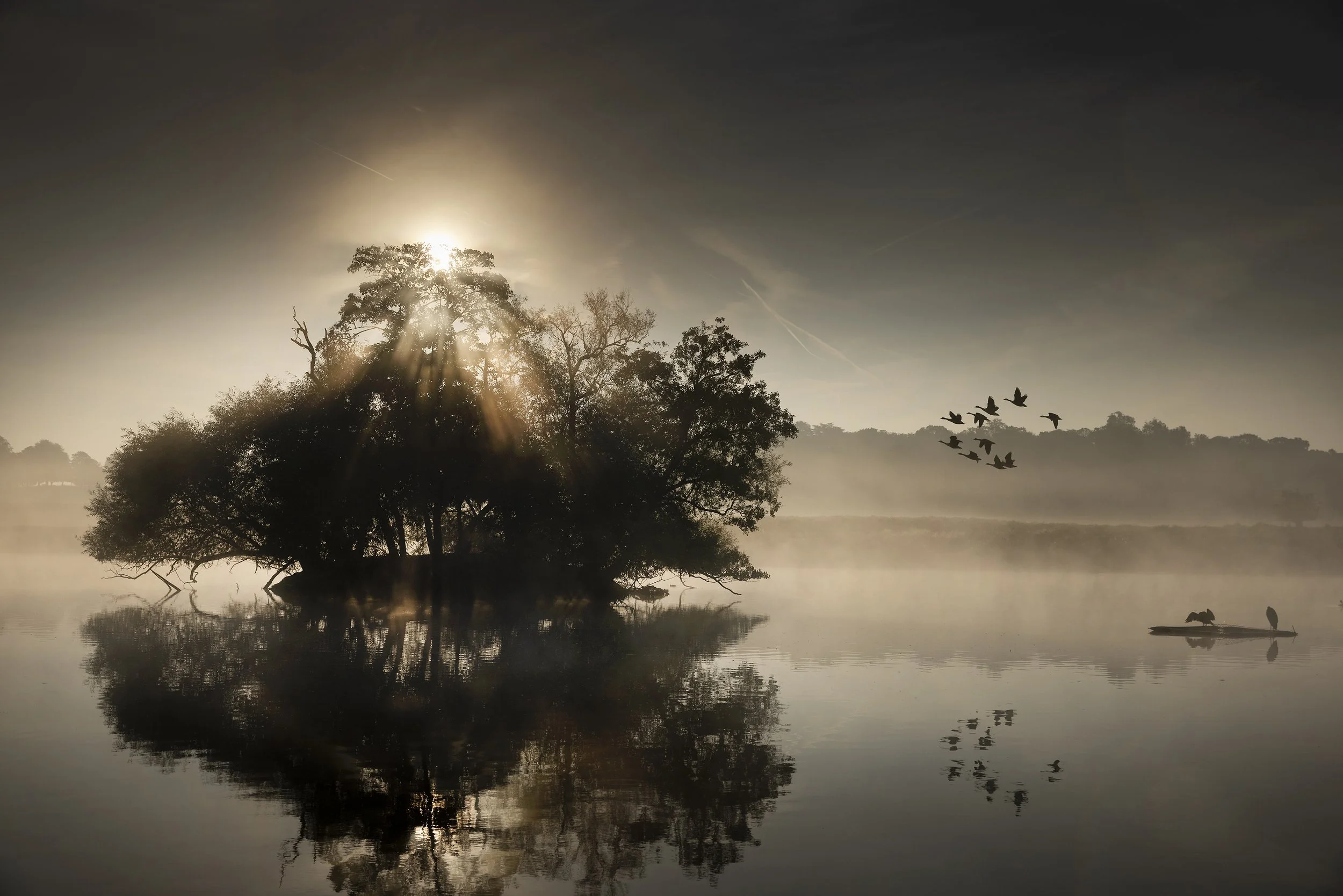 2021 A year in pictures — Peter Macdiarmid