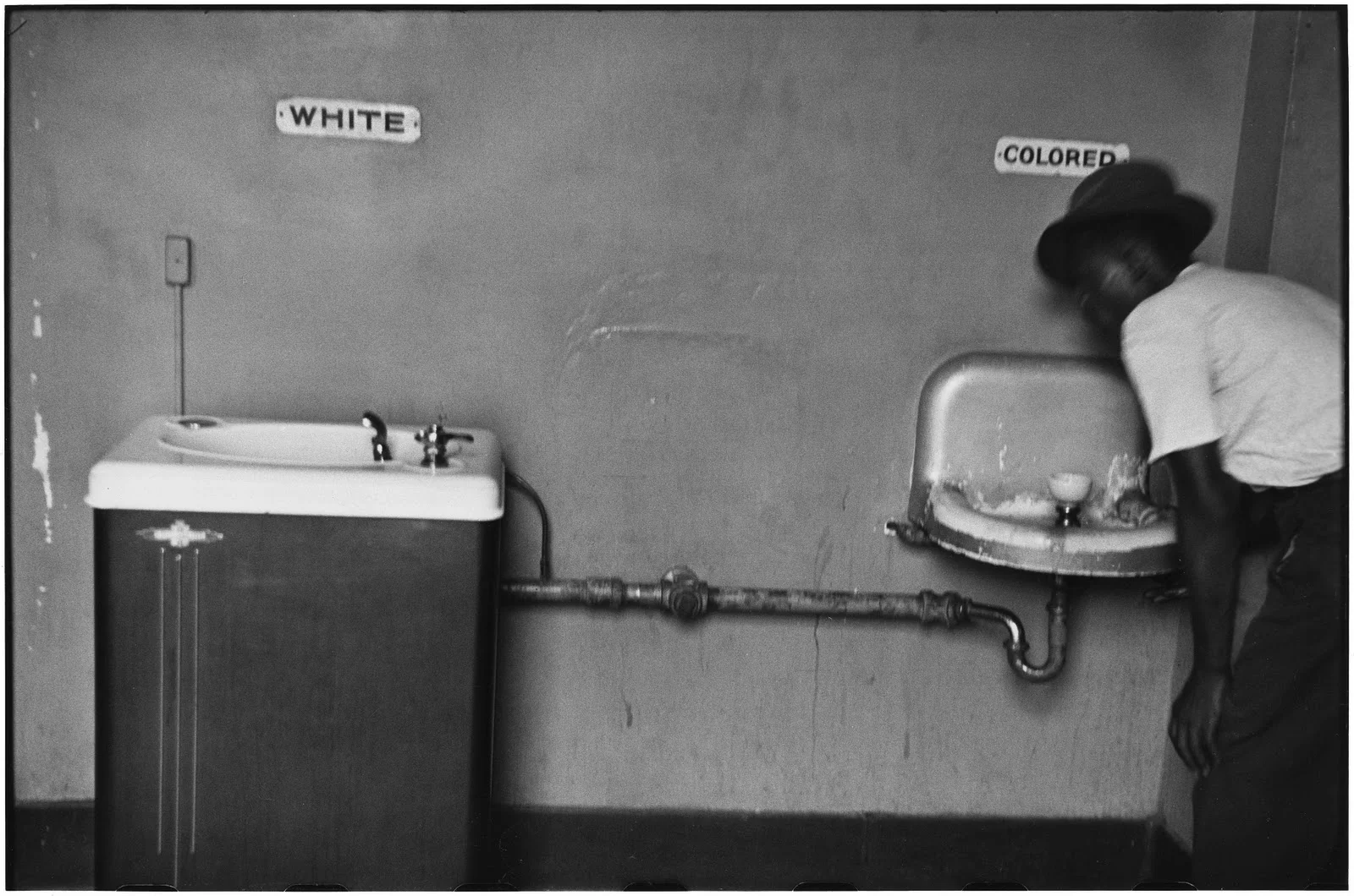 Separate But Equal PiqueShow