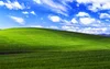 'Bliss' - One Of The Most Viewed Images In The World — PiqueShow