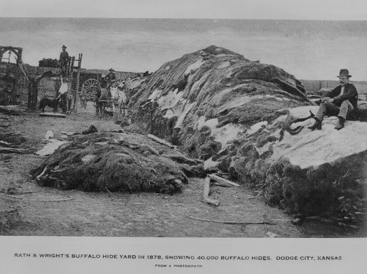Two Men Pose With A Mountain Of Bison Skulls Waiting To Be Ground Into ...