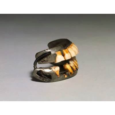 These False Teeth Belonged To George Washington — PiqueShow