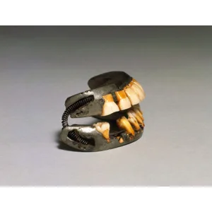 These False Teeth Belonged To George Washington — PiqueShow