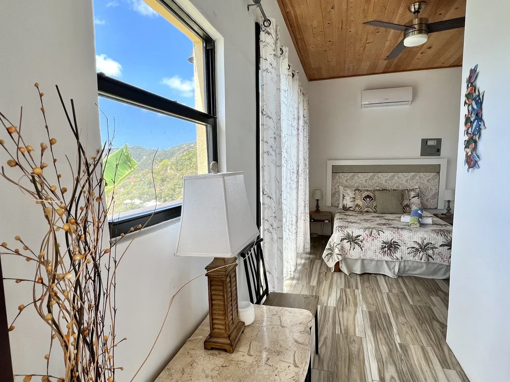 Unique Island Assets - Real Estate and Vacation Rentals on St John in ...