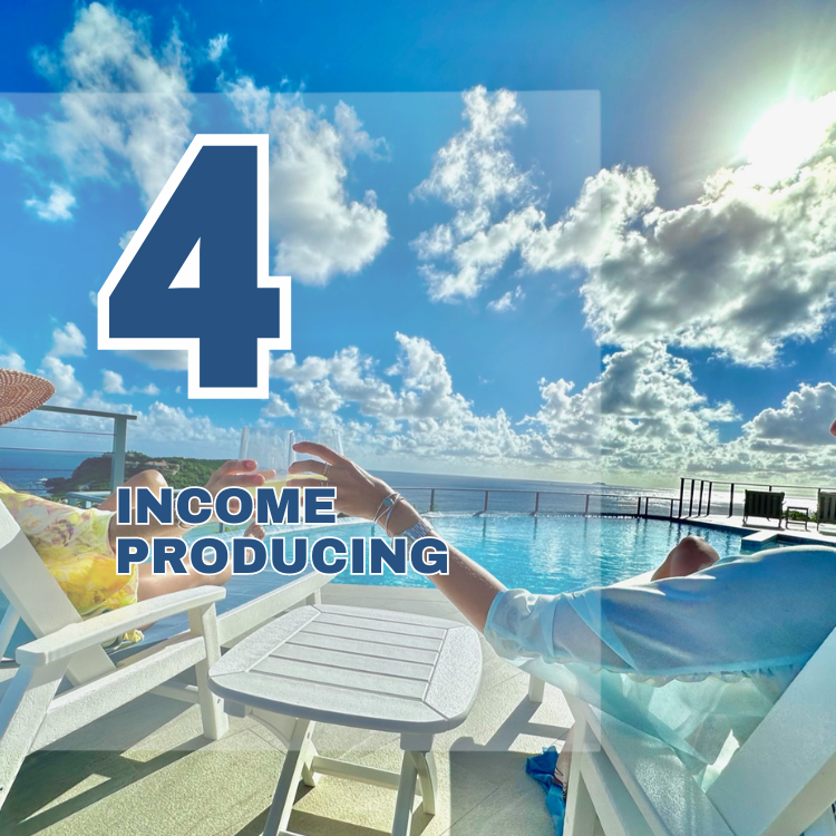 Unique Island Assets - Real Estate and Vacation Rentals on St John in ...