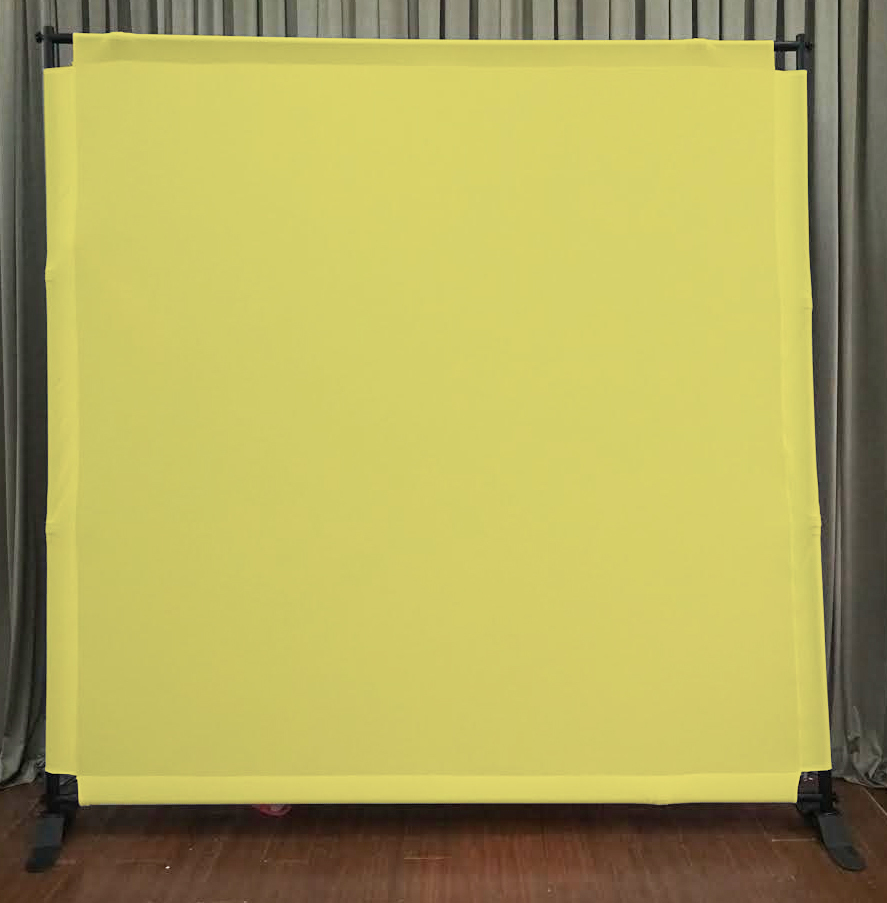 SnapSeat Photo Booths— Backdrops