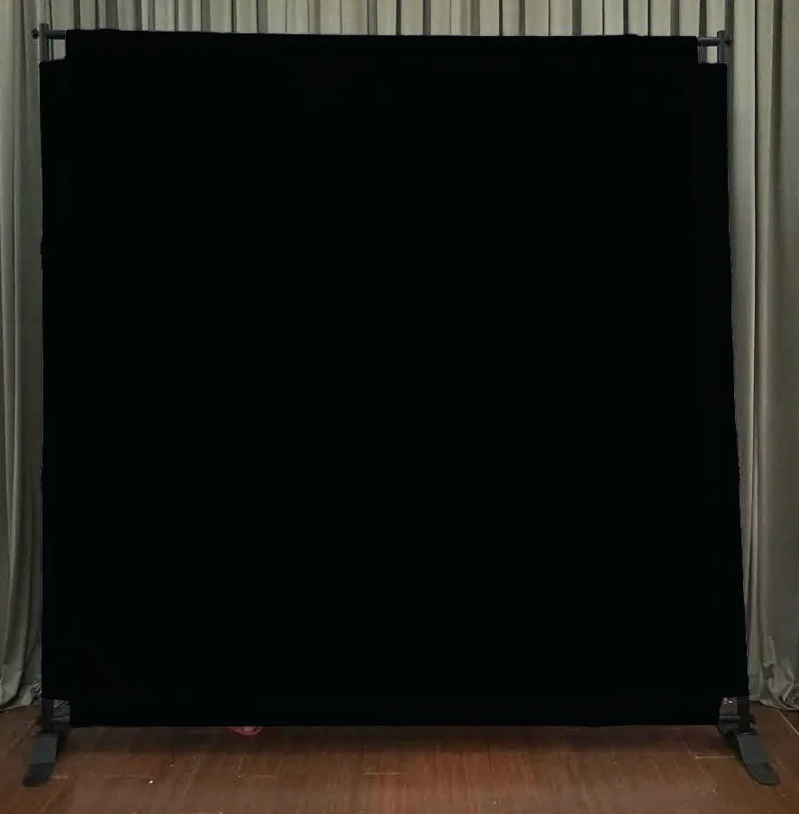SnapSeat Photo Booths— Backdrops