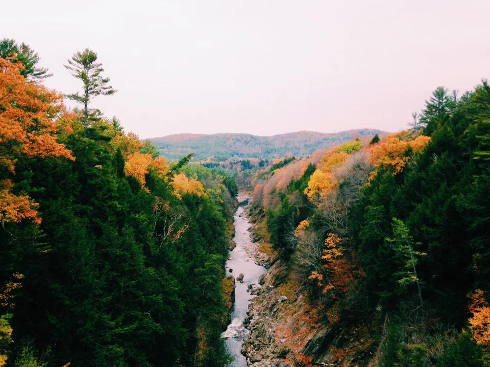 WHISKEY SALTED CARAMEL CINNAMON ROLLS — 600 ACRES