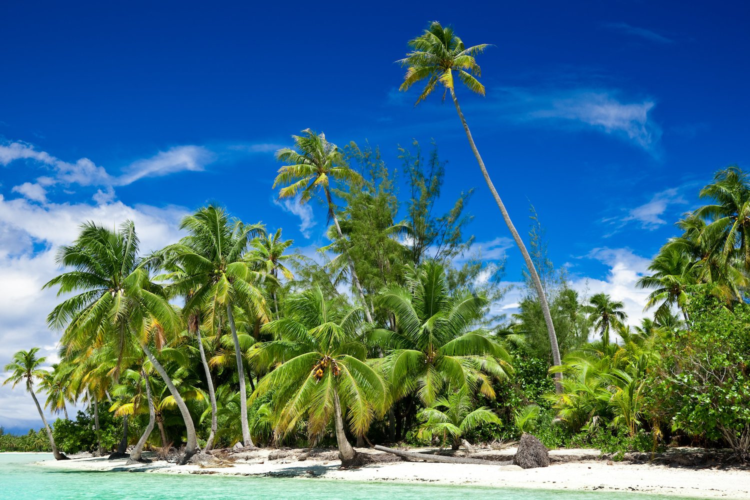 Red light vs infrared light therapy: what are the differences ...