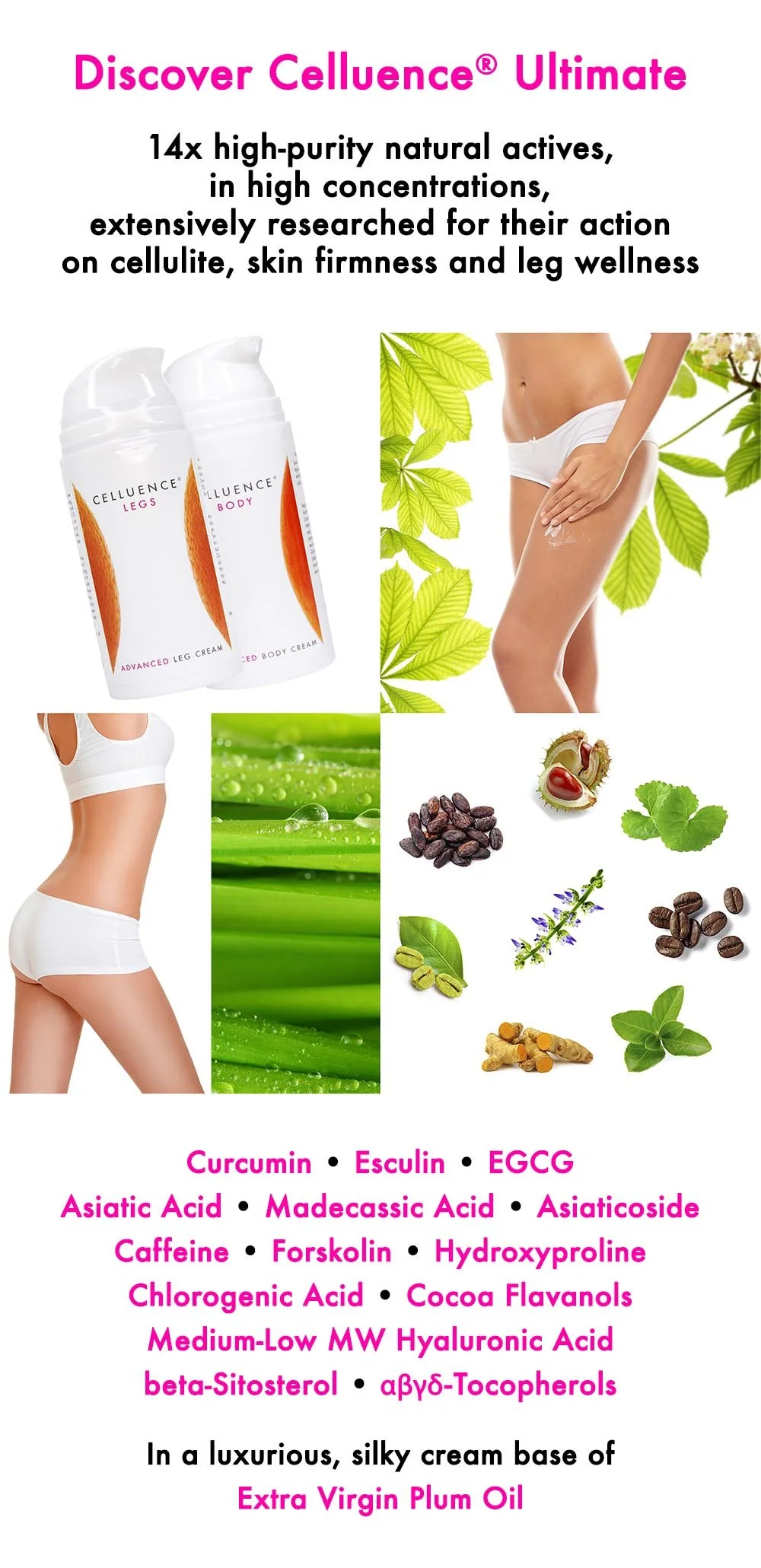 What causes cellulite? - LipoTherapeia | London's cellulite experts