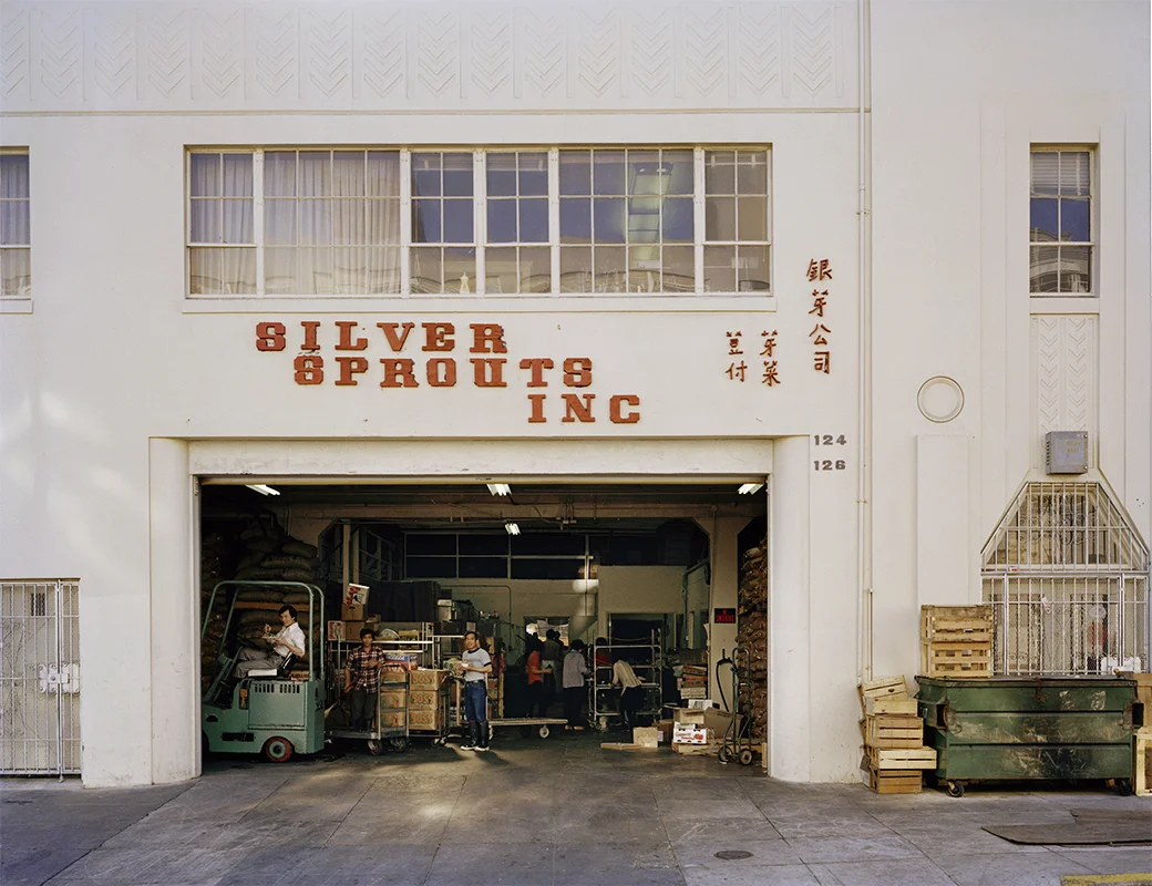 South of Market — Janet Delaney
