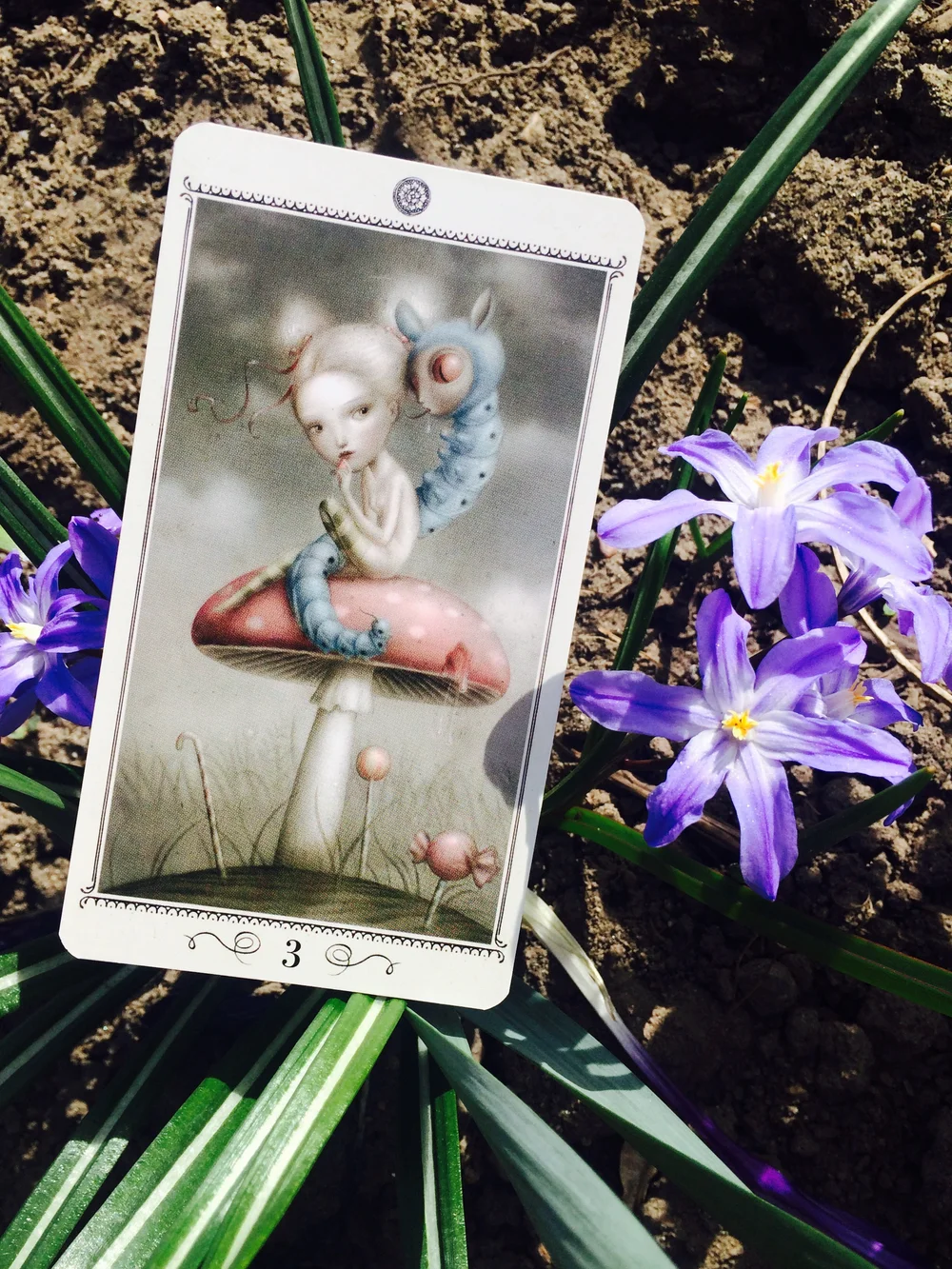 Nicoletta Ceccoli Tarot Photoshoot Noble Lion Prints