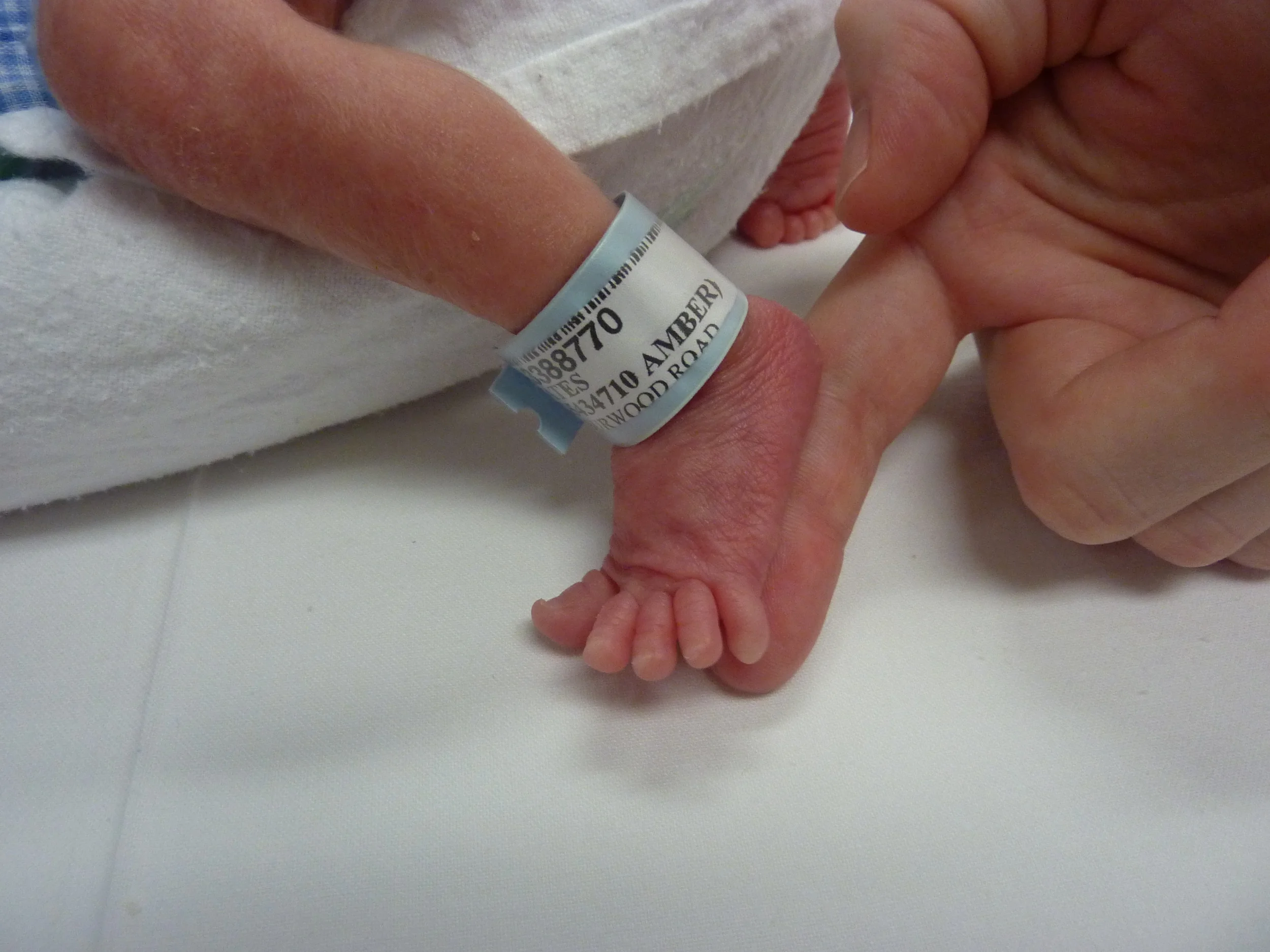 Top Tips for Photographing your Baby in NICU — Tiny Sparks WA