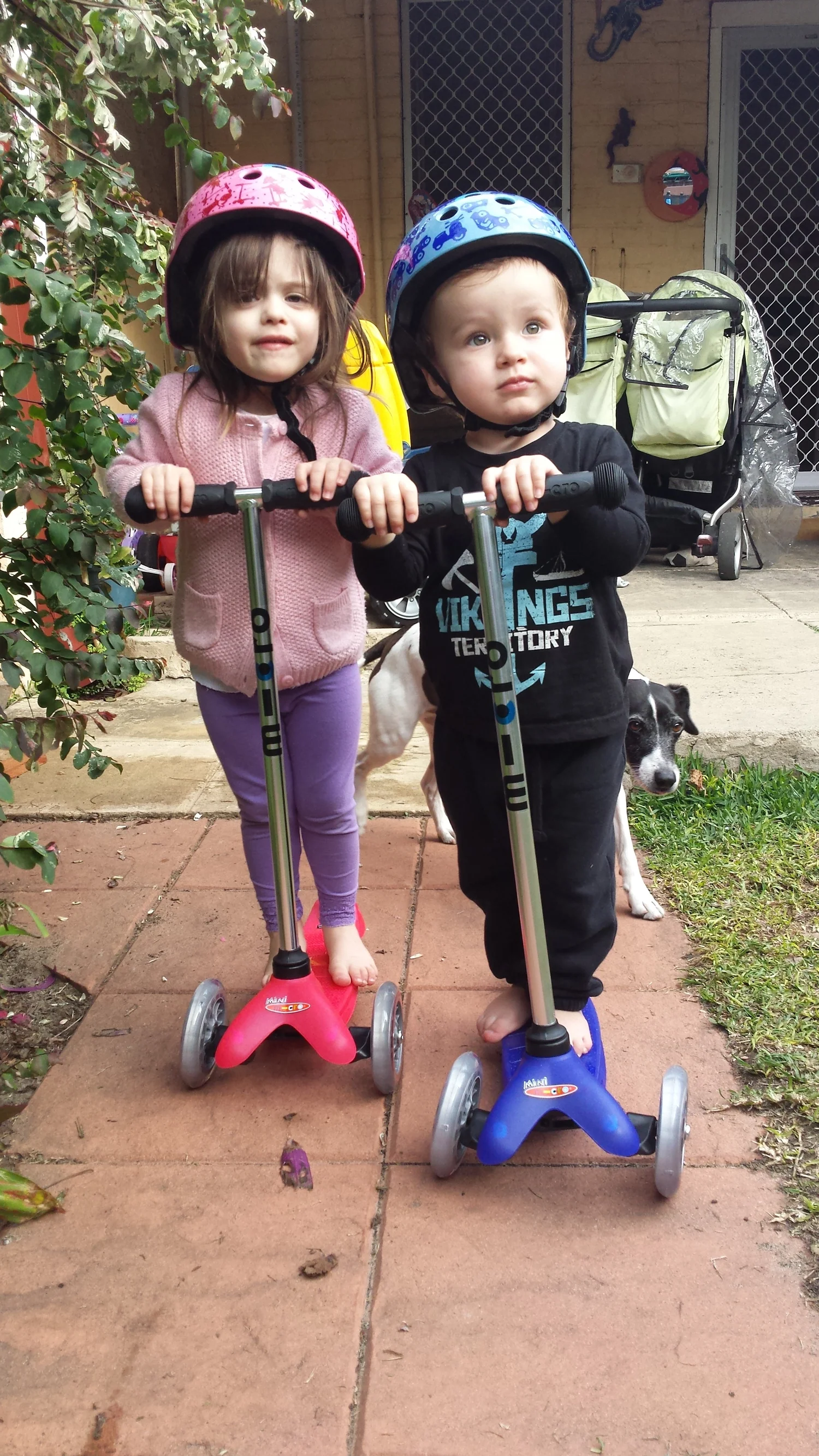Stella and Sam — Tiny Sparks WA