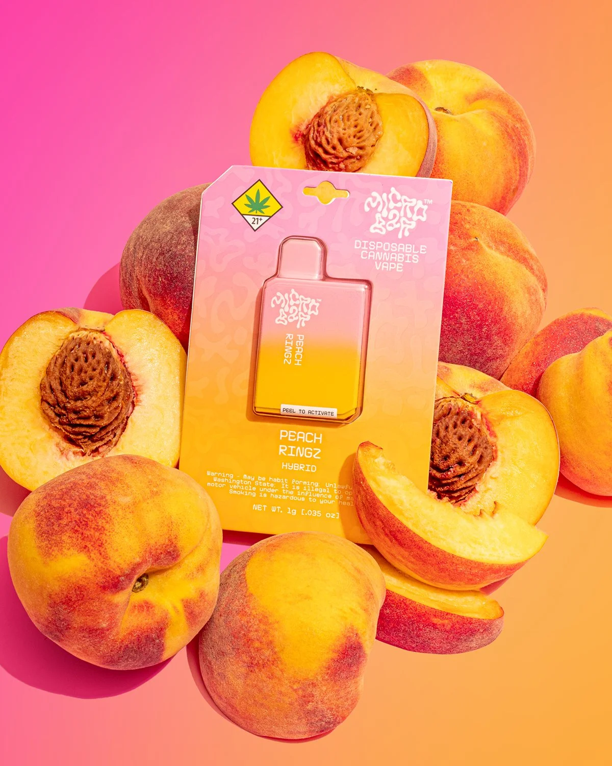 Sarah Richardson Photo | Bellingham, WA