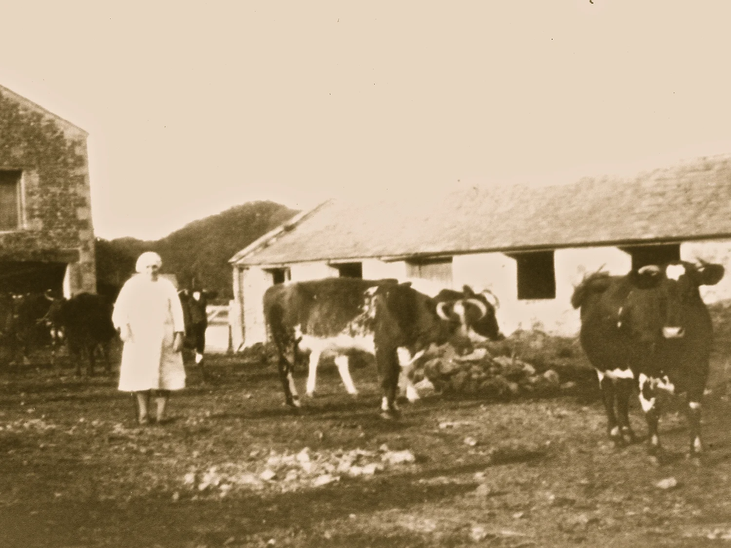 History — Westcombe