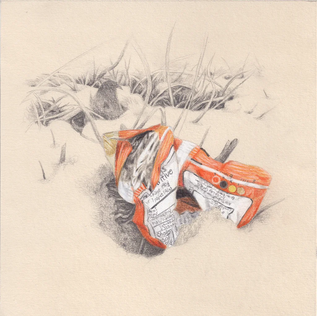 Litter Drawings — Paul Chartrand