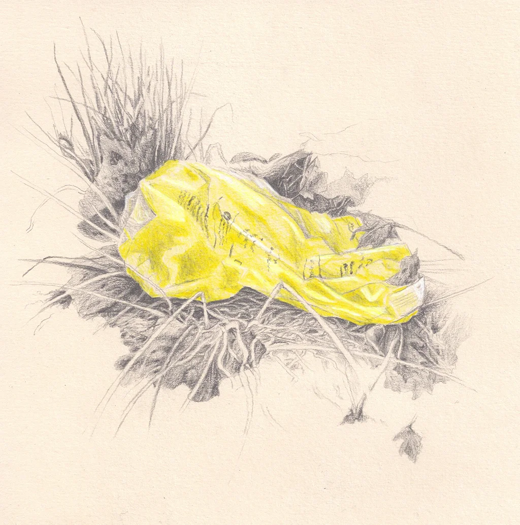 Litter Drawings — Paul Chartrand