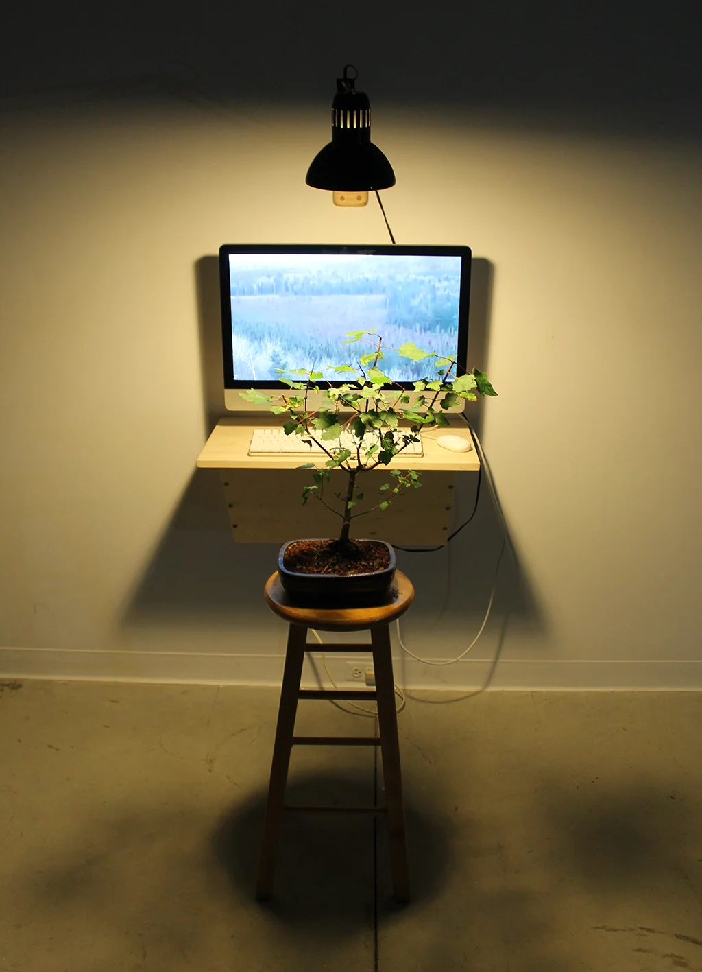 Window — Paul Chartrand