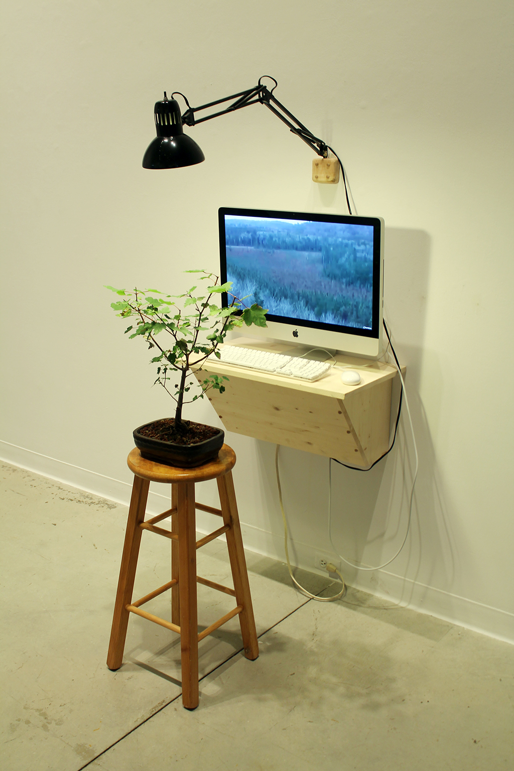 Window — Paul Chartrand