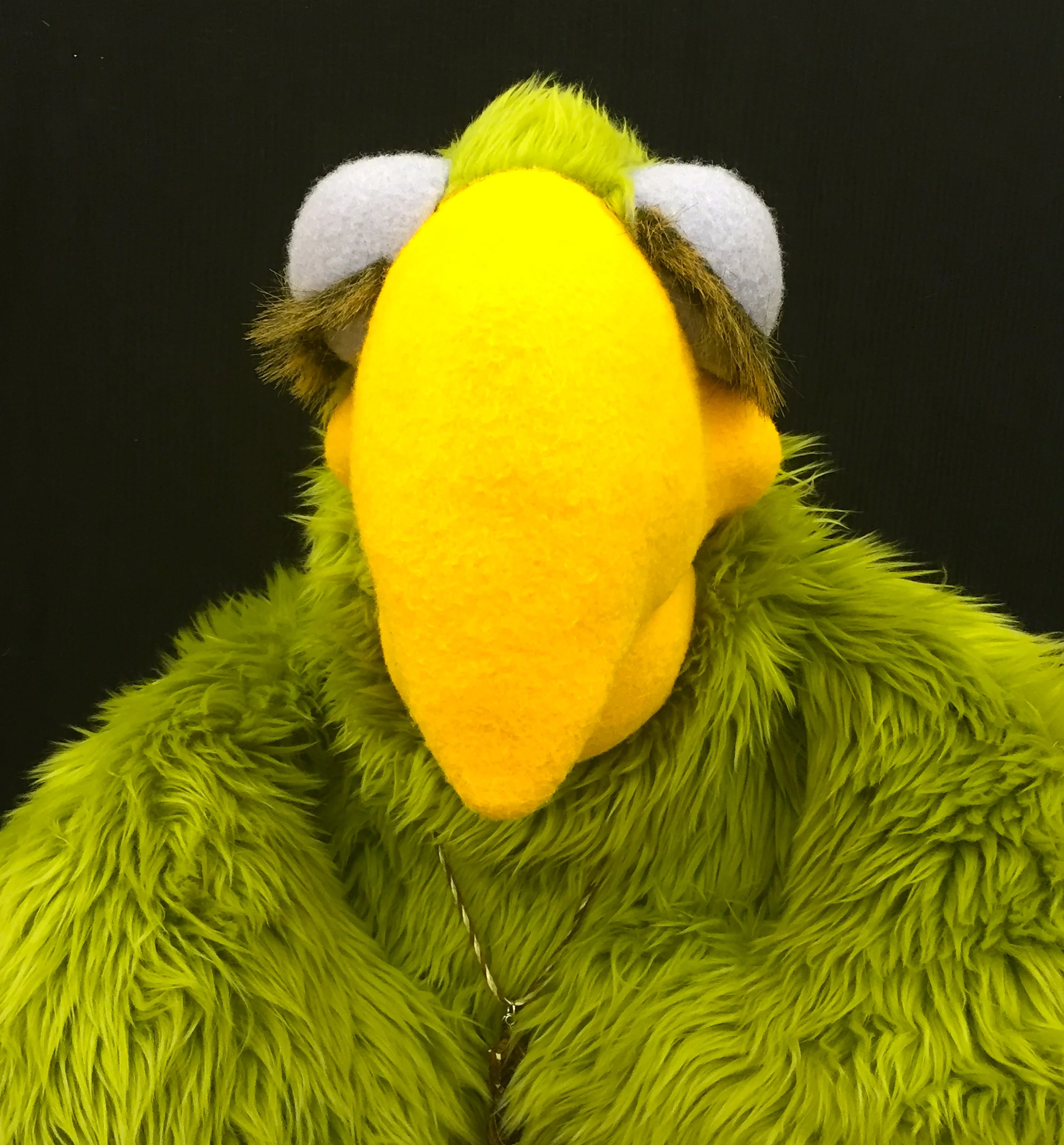 Mr. Bird Goes to The Bird Union — Bird Call